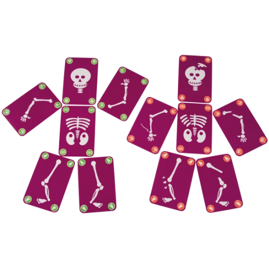 Bogoss Skeleton Card game - Children's Card Games