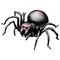 Salt Water Spider | Science | Mulberry Bush