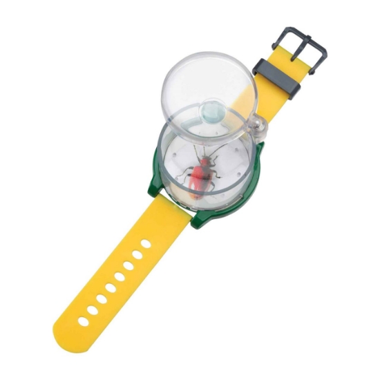 Bug Watch | Home & Outdoors | Mulberry Bush
