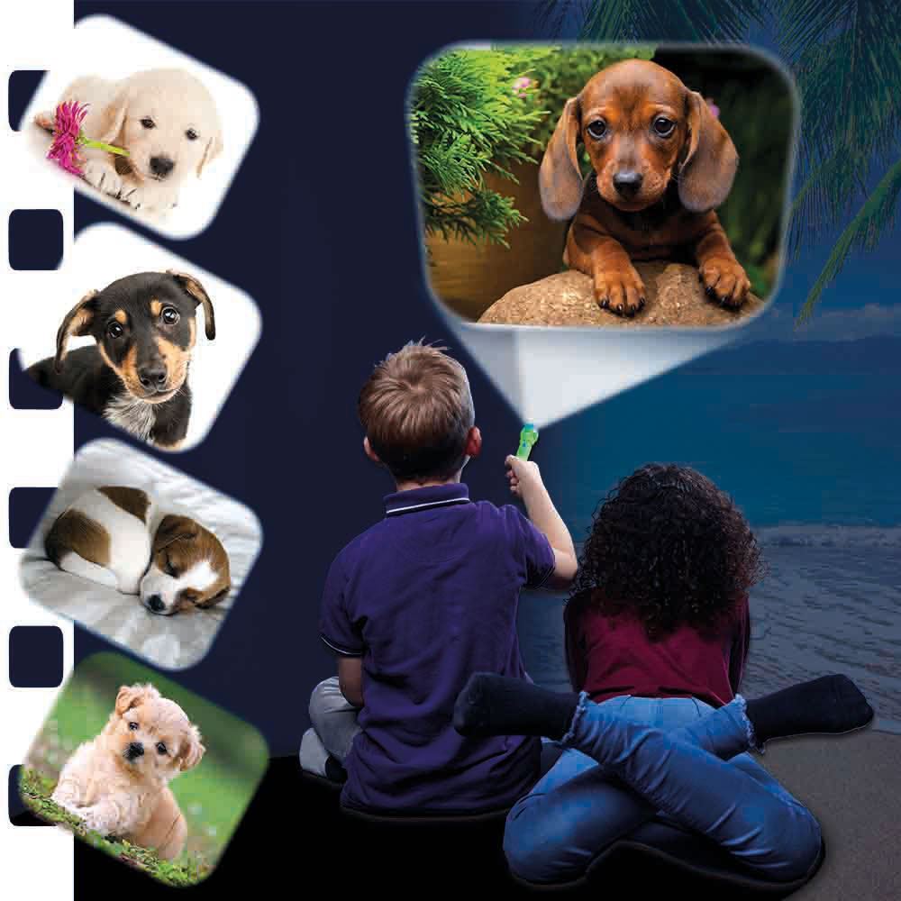 Puppy Torch - Children's Lamps - Brainstorm