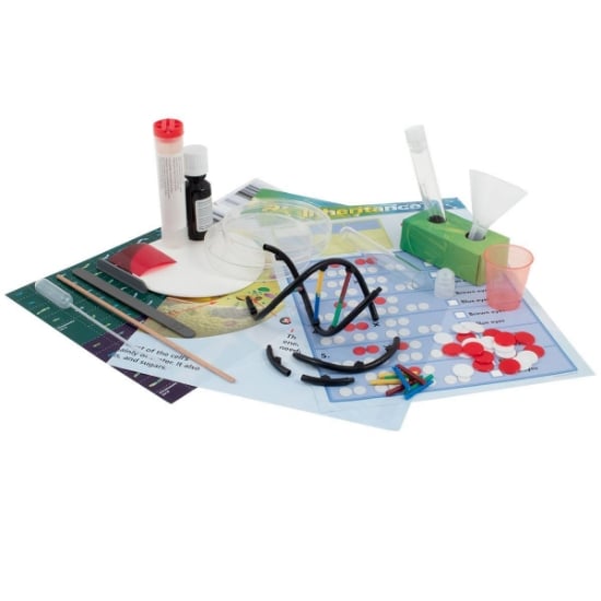 Genetics & DNA Lab - Science Toys