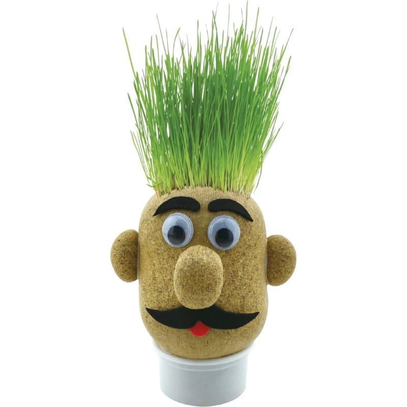 Mr Grasshead - Nature Kits For Kids